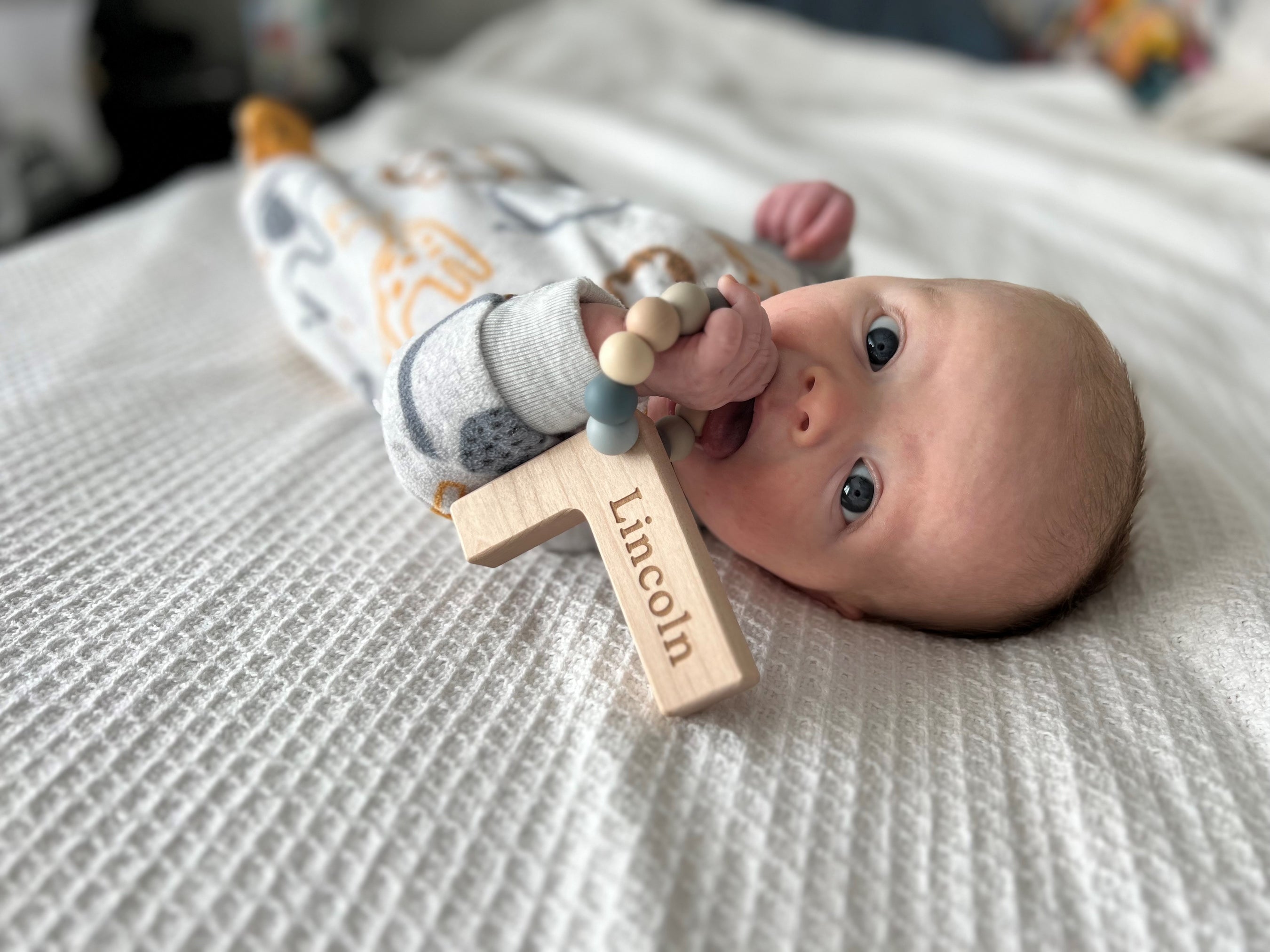 Bannor Toys - Montessori, Educational + Wooden Baby Toys Made in USA