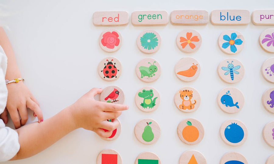 Sorting Game – Bannor Toys