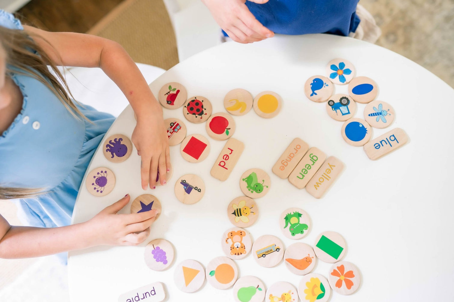 Sorting Game – Bannor Toys