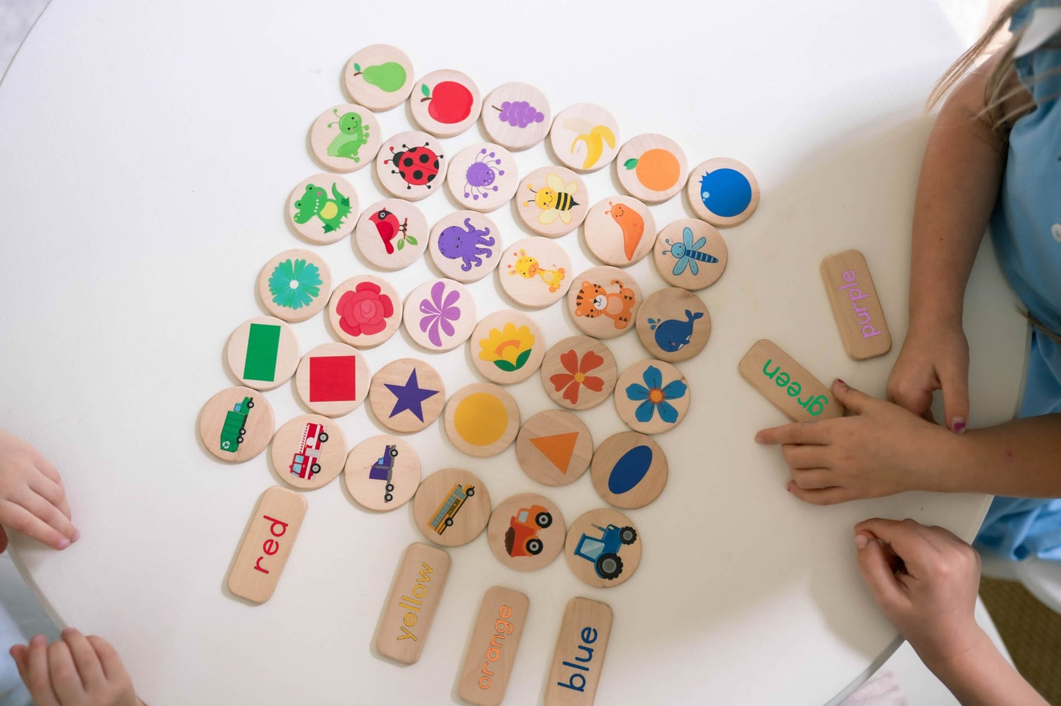 Sorting Game – Bannor Toys