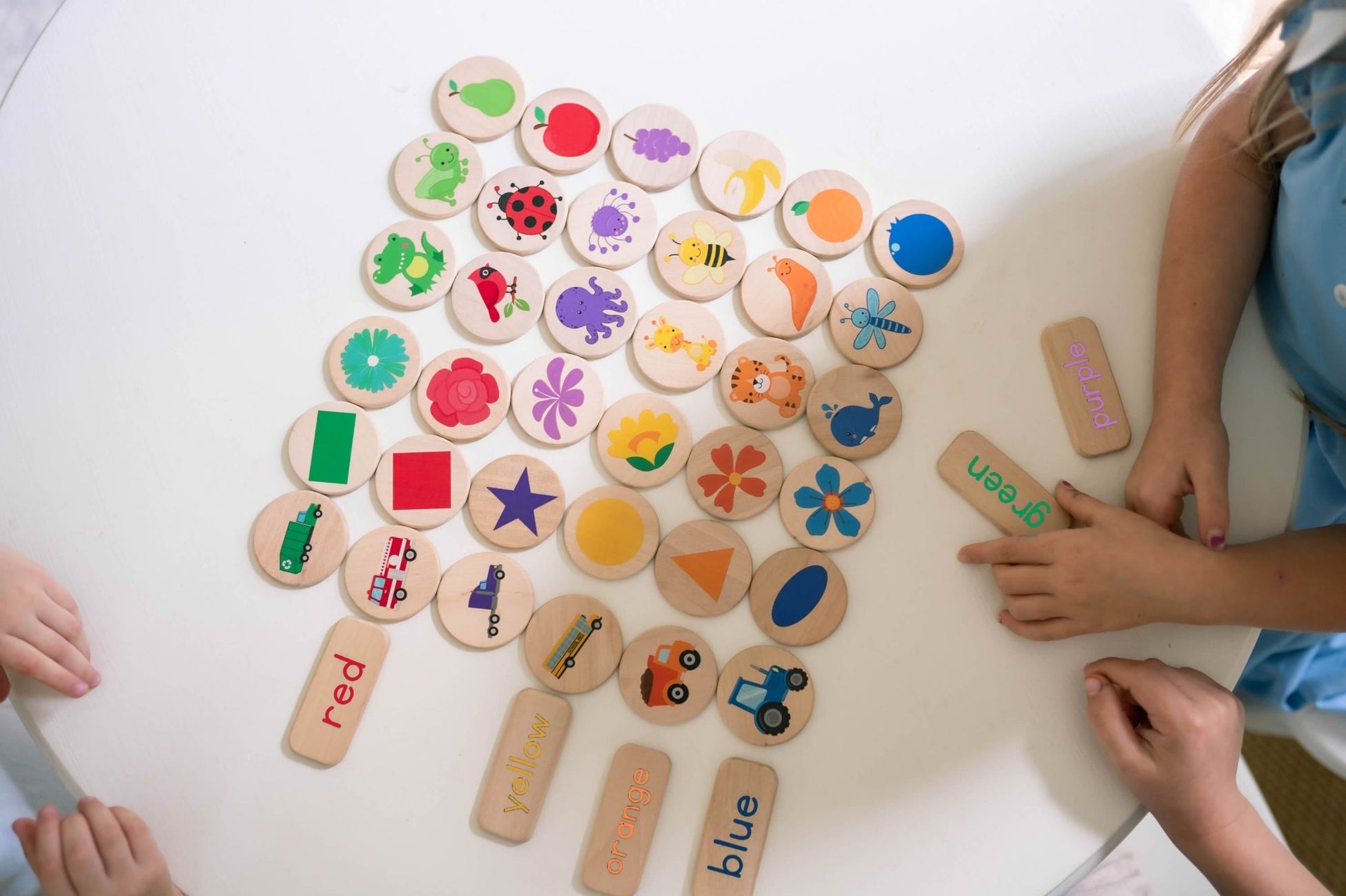 Sorting Game – Bannor Toys