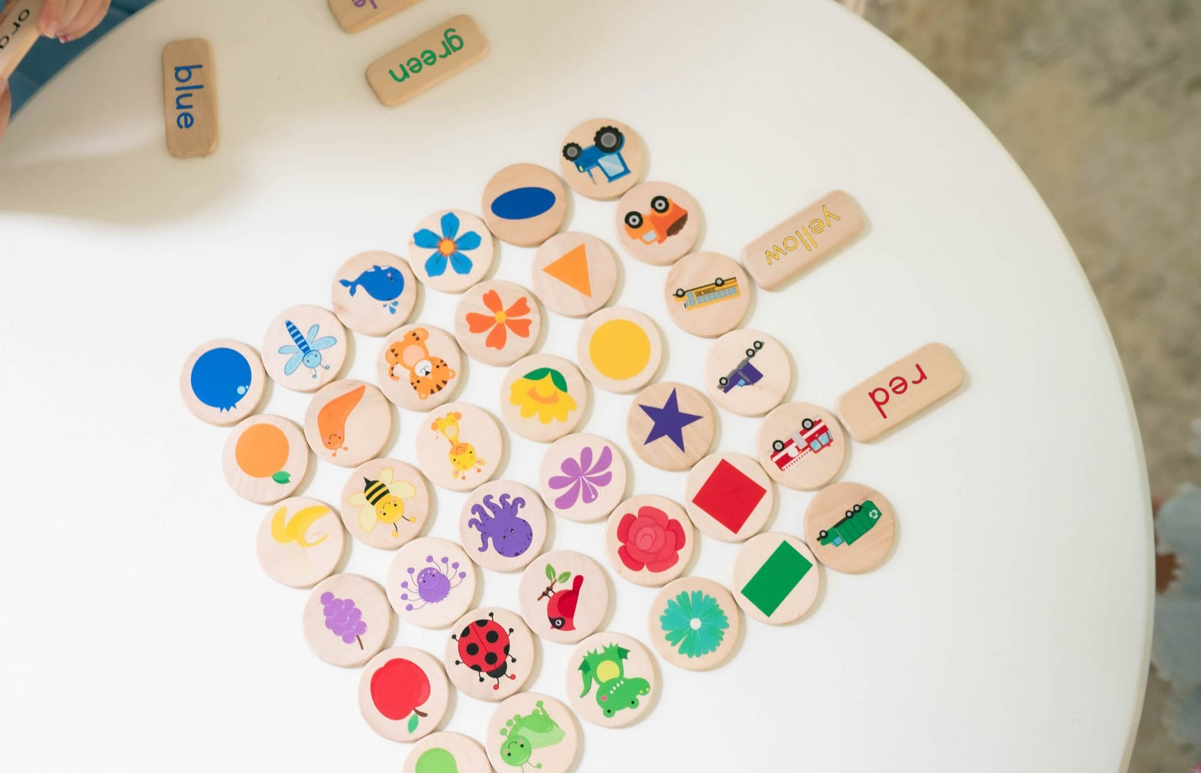 Sorting Game – Bannor Toys