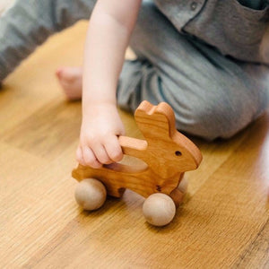 Wooden Bunny Push Toy - Bannor Toys