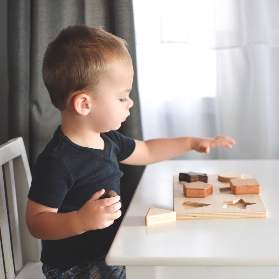 Chunky Wooden Shape Puzzle by Bannor Toys