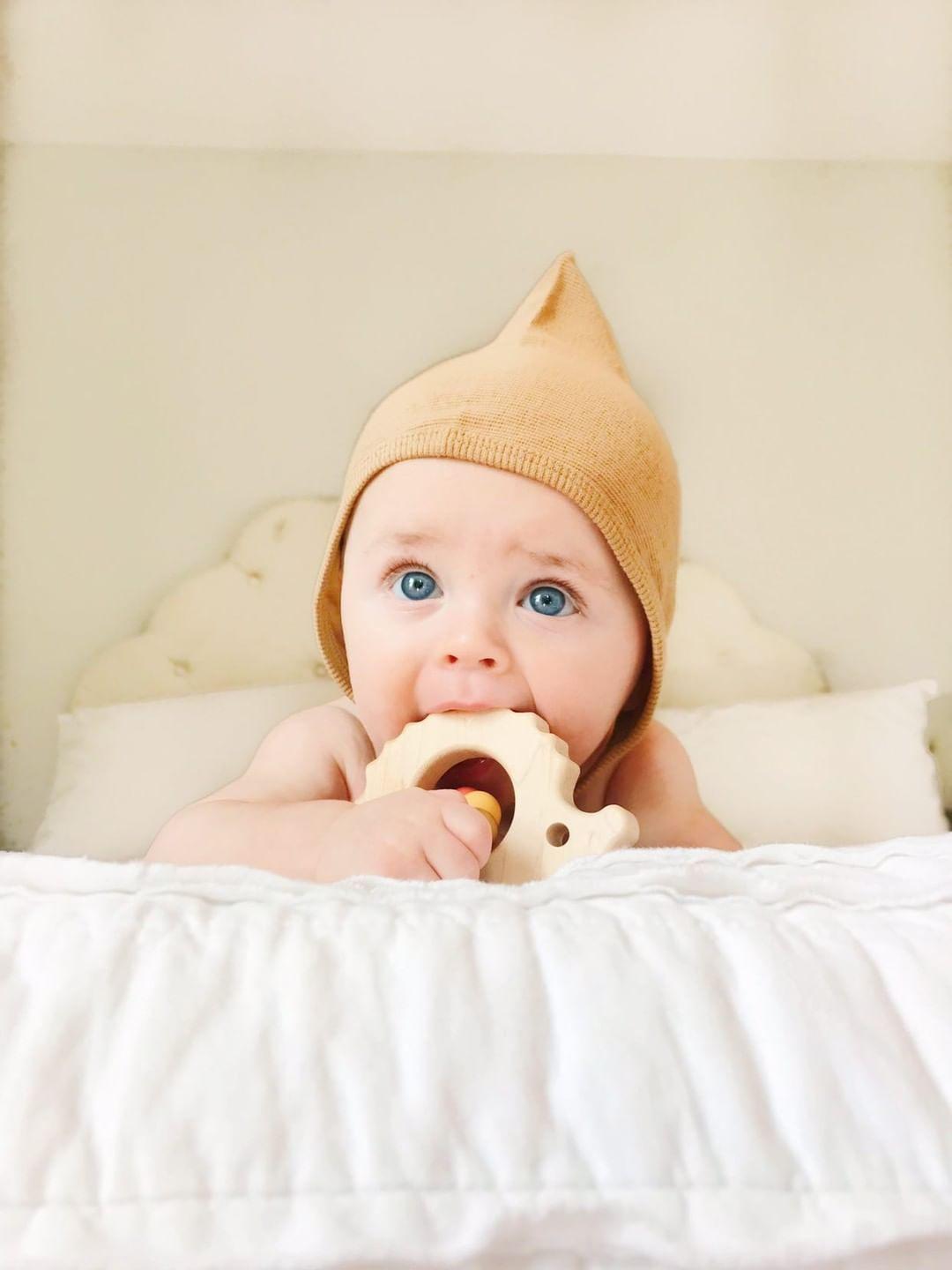 Hedgehog Wooden Baby Grasping Toy by Bannor Toys